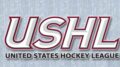 96 Minnesotans on USHL Rosters